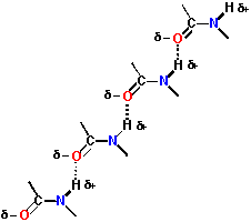 Hydrogen Bonds